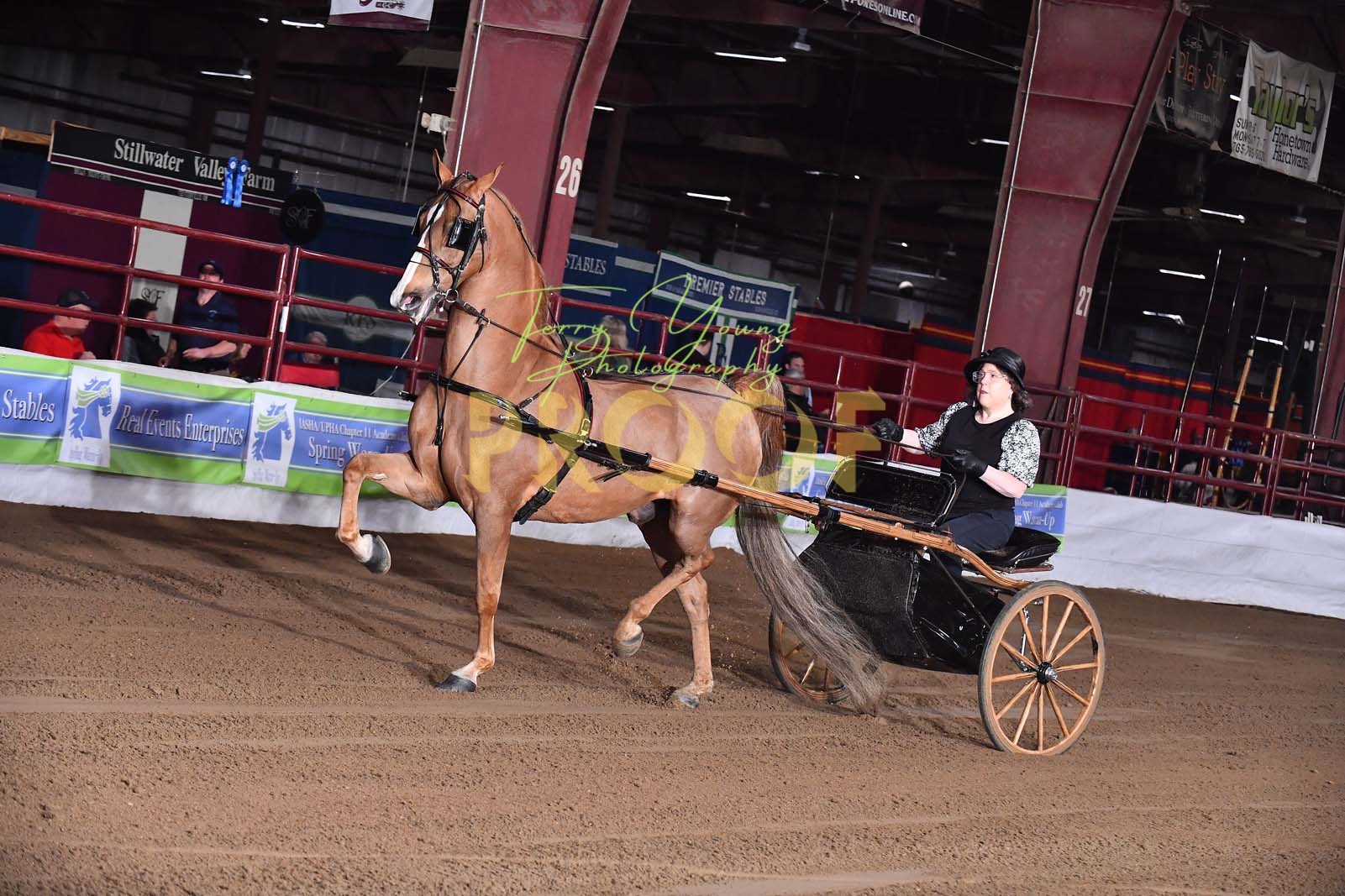 Sat. Morn 9:00am - Classes #48-75.1 - Horse Show Proofs - 2024 - A.) IN. Spring warm Up Show ...