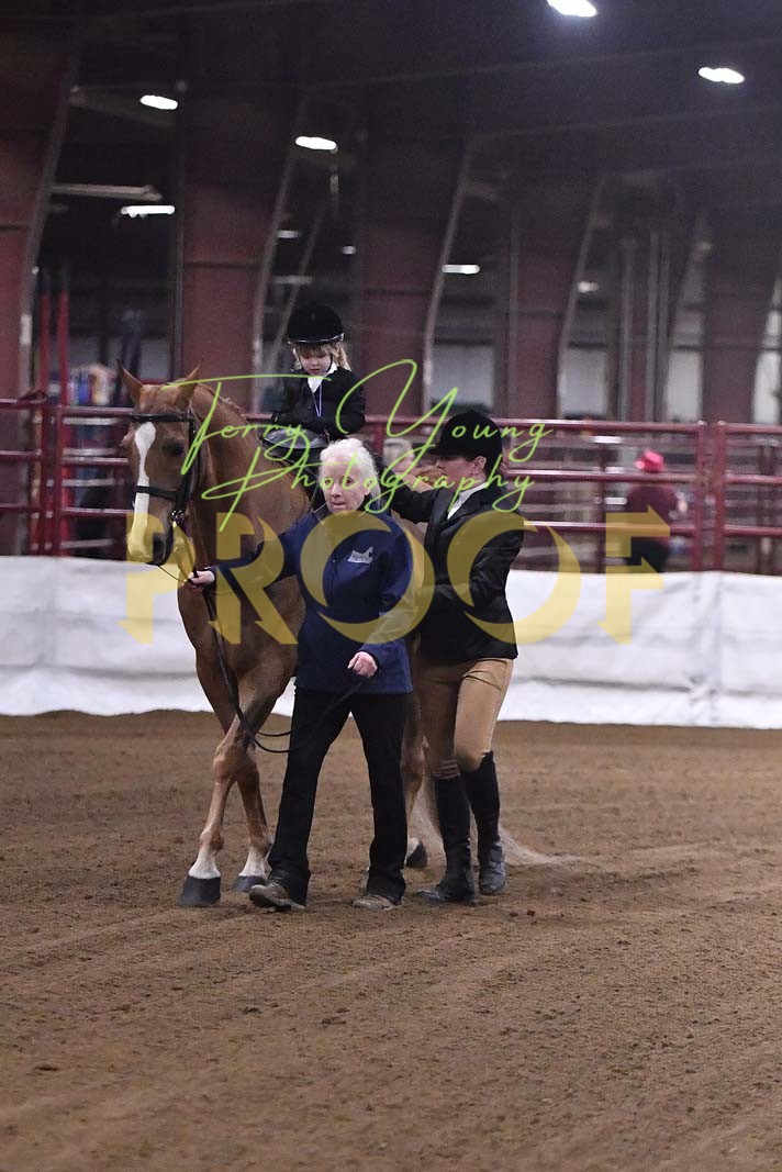 All Lead Lines, Awards, Special Presentation & Misc. (Discounted 25%) - Horse Show Proofs - 2024 ...