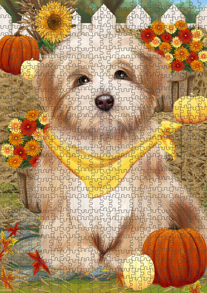 Fall Autumn Greeting Dog Cat Pet Jigsaw Puzzle with Photo Tin 1000 Pc ...