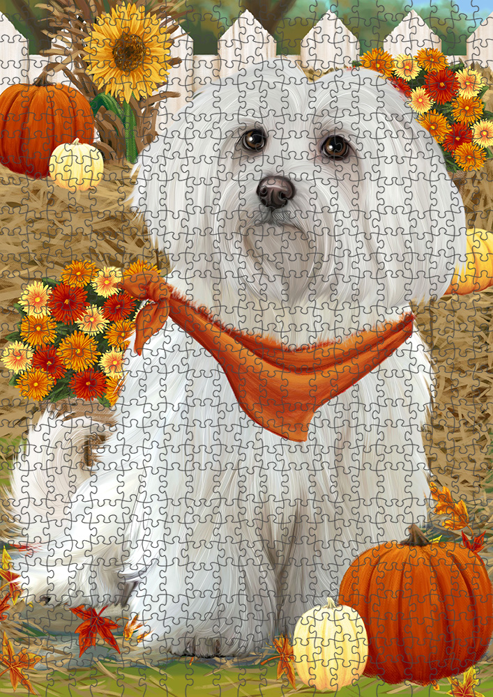 Fall Autumn Greeting Dog Cat Pet Jigsaw Puzzle with Photo Tin 1000 Pc ...