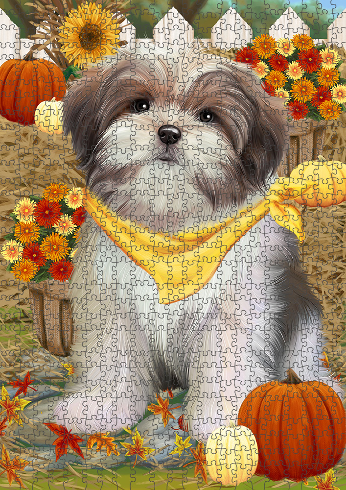 Fall Autumn Greeting Dog Cat Pet Jigsaw Puzzle with Photo Tin 1000 Pc ...