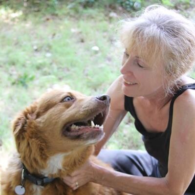 Vicki Greene Gallery of Original Fine Art