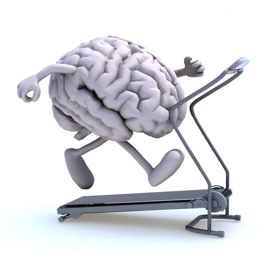 Brain Fitness Exercises For Healthy Brain Function
