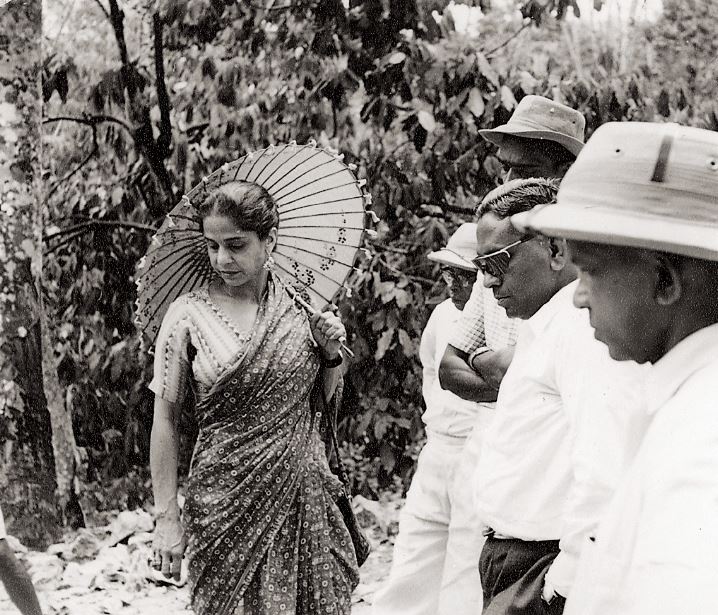 ‘88 Acres’ by the MMCA Sri Lanka Closes - Adaderana Biz English | Sri Lanka Business News