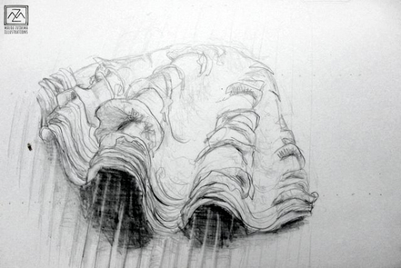 charcoal shell drawing