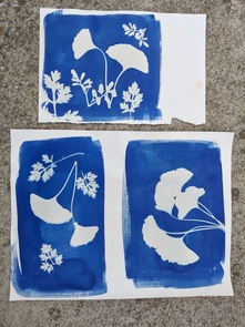 Alternative Photography: Cyanotype for Beginners