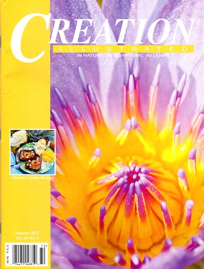 Creation Illustrated, Summer 2017 - Creation and Science Chronicle