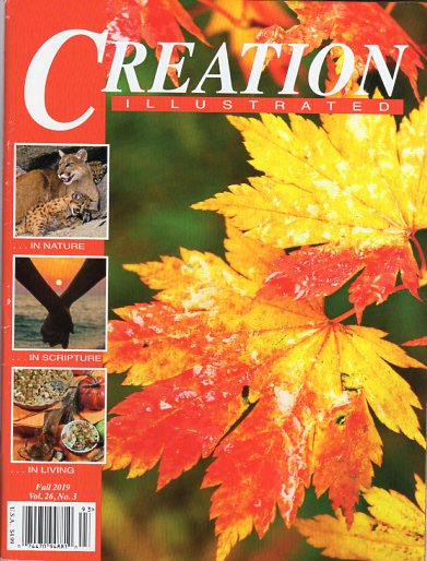 Creation Illustrated, Fall 2019 - Creation and Science Chronicle