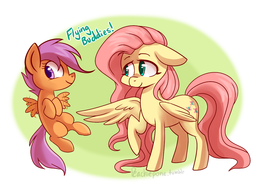 fluttershy and scootaloo drawn by saber-panda - Bronibooru