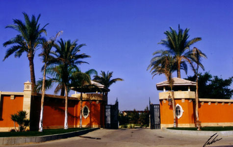 About ElFarida Stud :: El Farida Stud