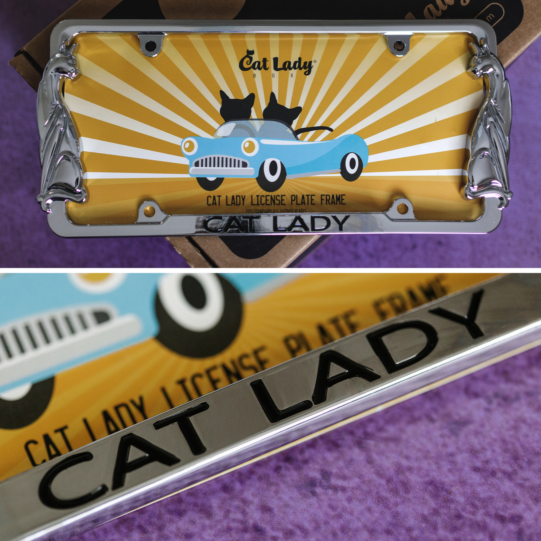 Fashion Flagship Store Crazy Cat Lady Metal License Frame Every State Fashion Flagship Store Crazy Cat Lady Metal License Frame Every State