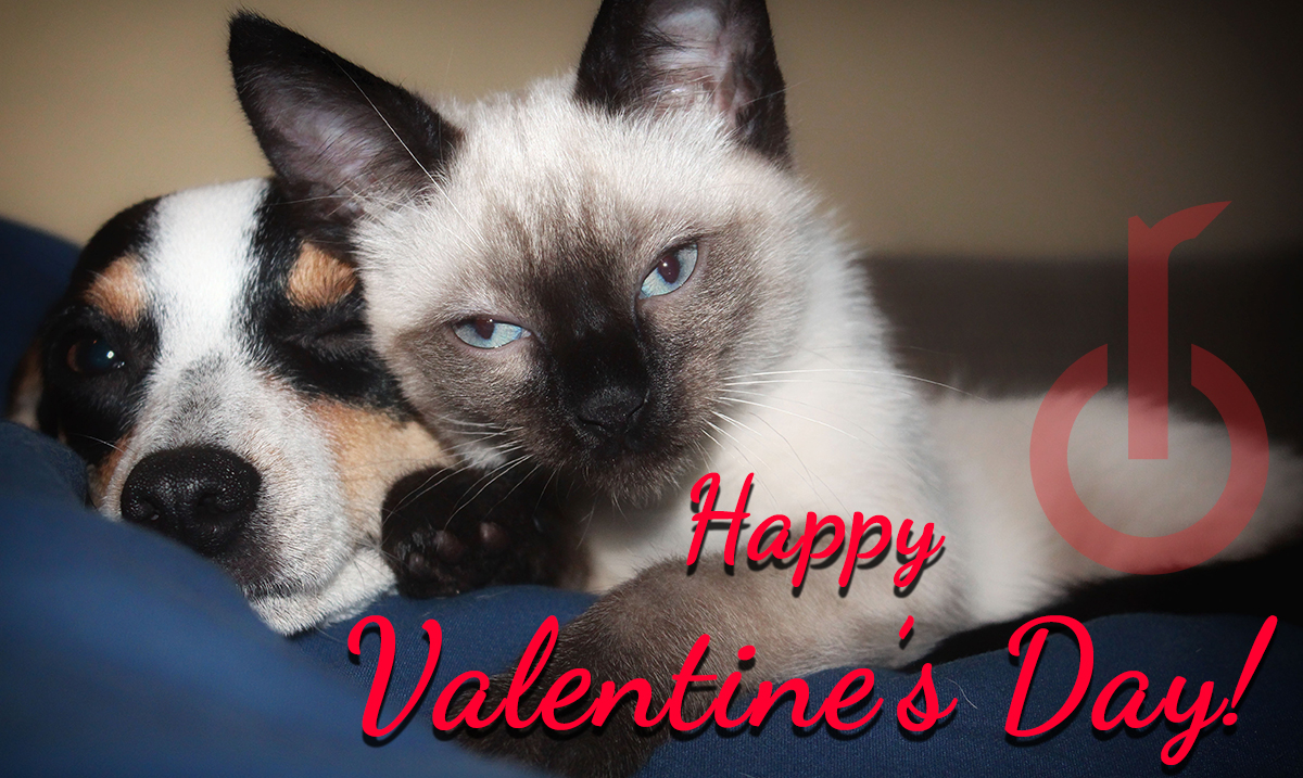 Happy Valentine's Day - MoreNowTech #Valentinesday #BeMyValentine #love ...