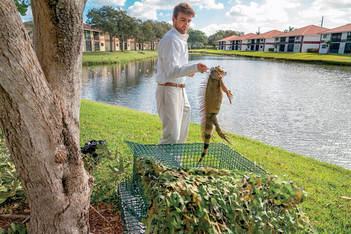 The Iguana Trapper - Florida Trend | Feature