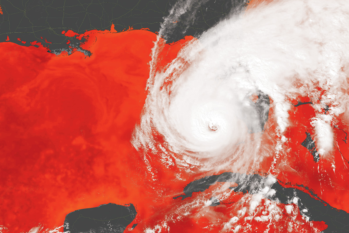 Rapid Intensification - Florida Trend | Feature