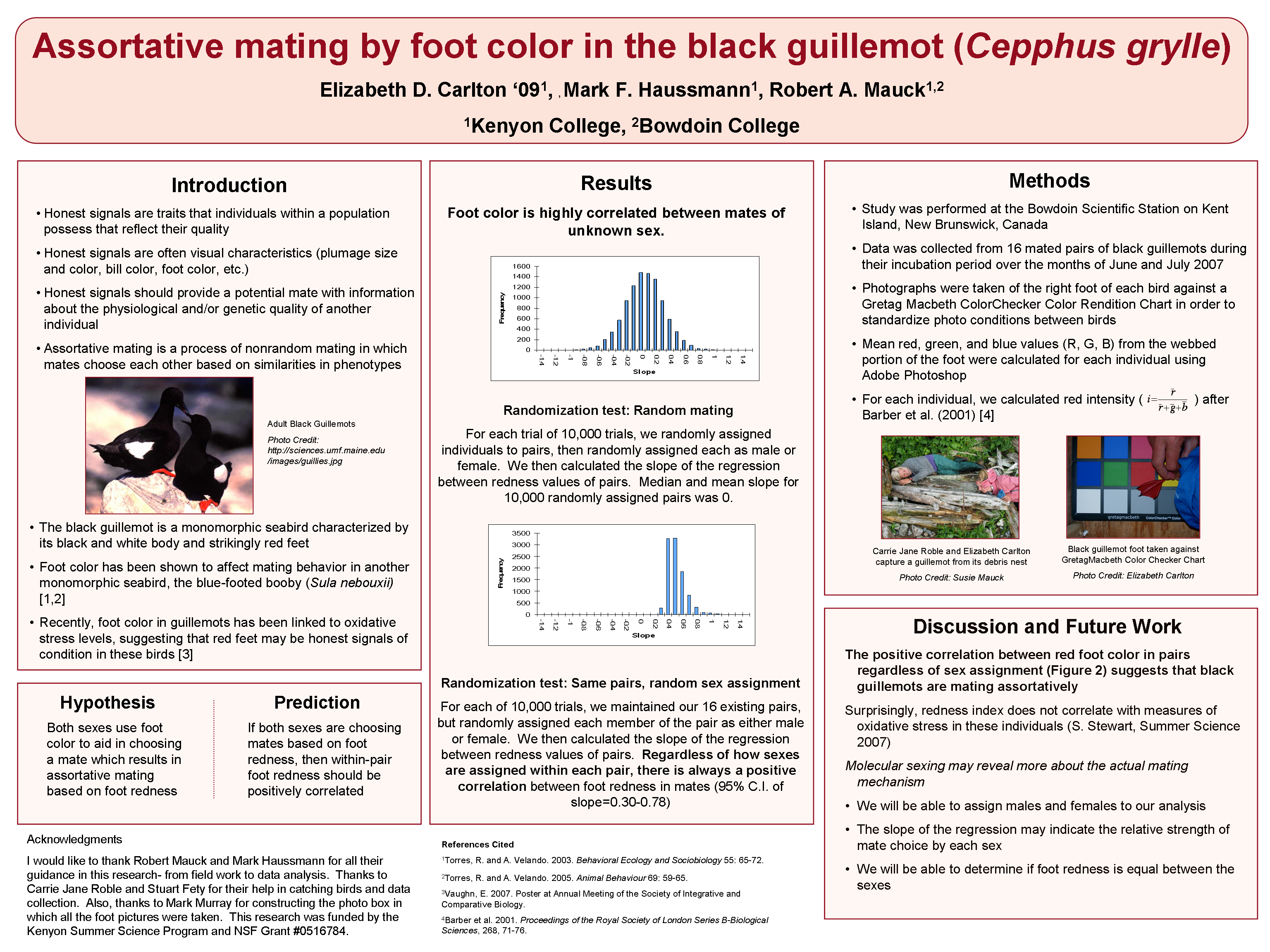  Poster Examples How Do I Design A Research Poster LibGuides At 