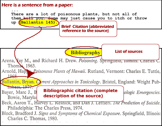 How To Cite Prof Sehulster English 92 Writing For College 