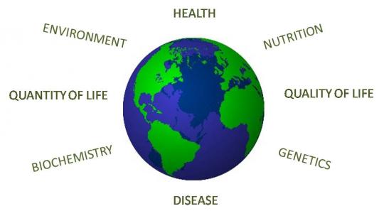 Introduction - Health Geography - Resource Guides at UNSW Canberra at ...