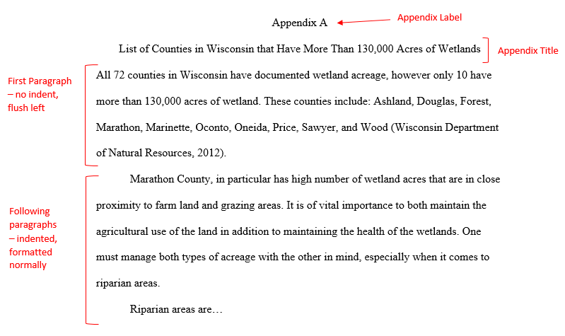 Example Of An Apa Style Research Paper Research Paper Cover Page 