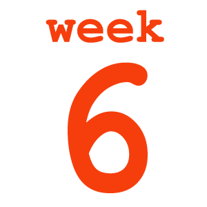 Week 6 Vocabulary - OctoQuiz