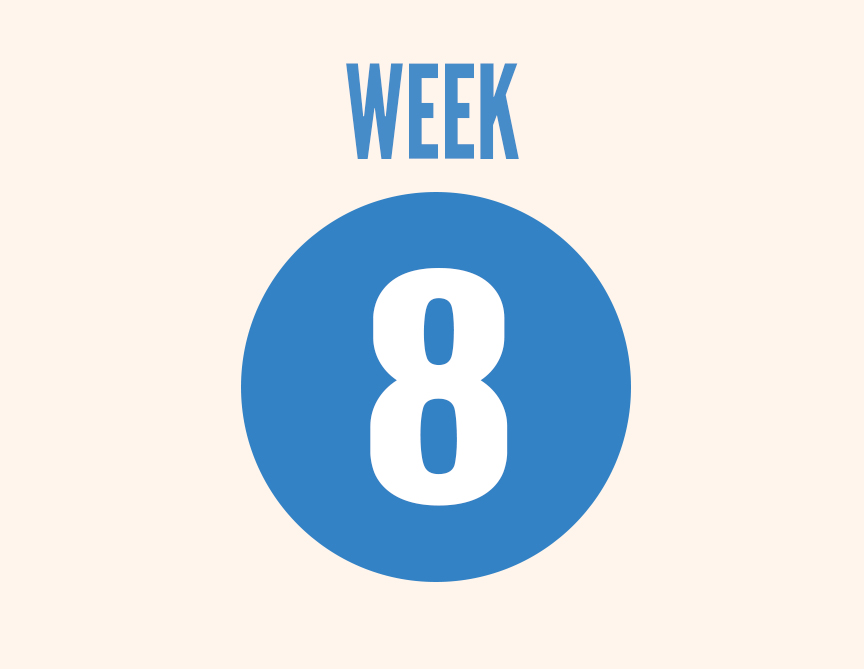 Photo Gallery – Orah Day Camp | Summers of Endless Fun