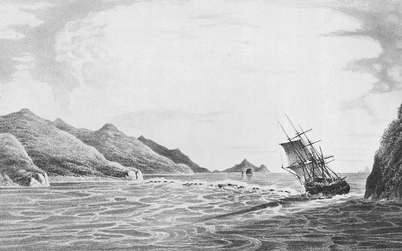 By Land & By Sea: Scientific Expedition Reports in Special Collections ...