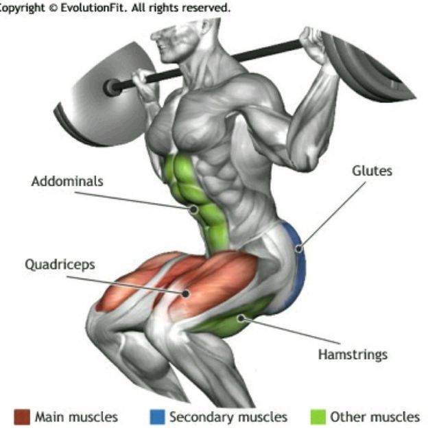 Squat Exercise How to Workout Trainer By Skimble Squat Exercise How to Workout Trainer By Skimble