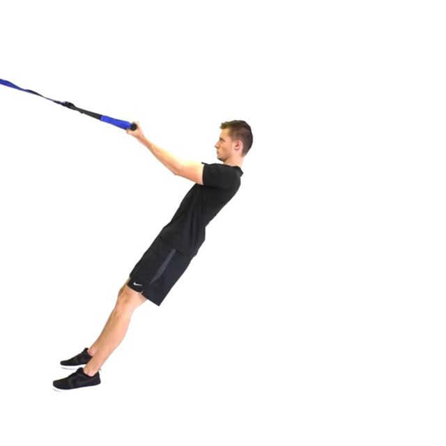 TRX Bicep Curls - Exercise How-to - Workout Trainer by Skimble