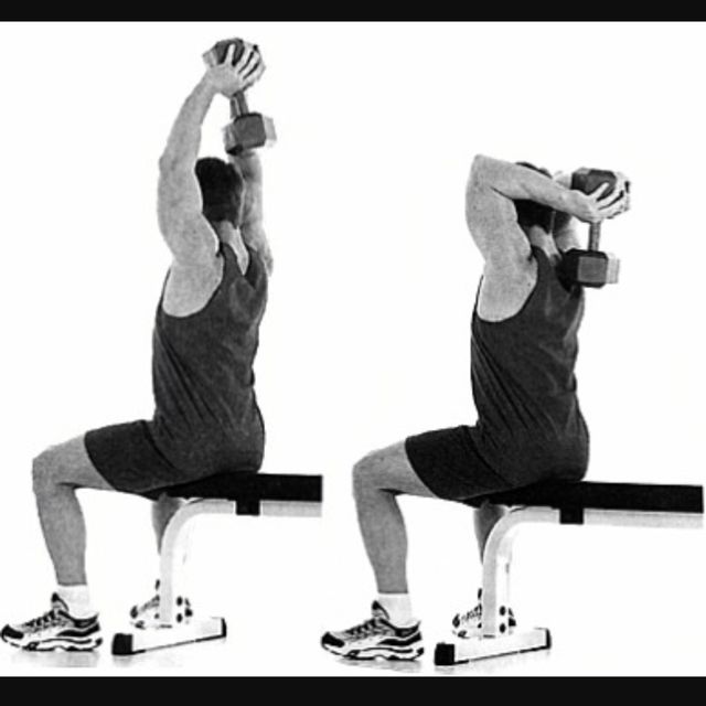 Tricep Overhead Extensions - Exercise How-to - Workout Trainer by Skimble