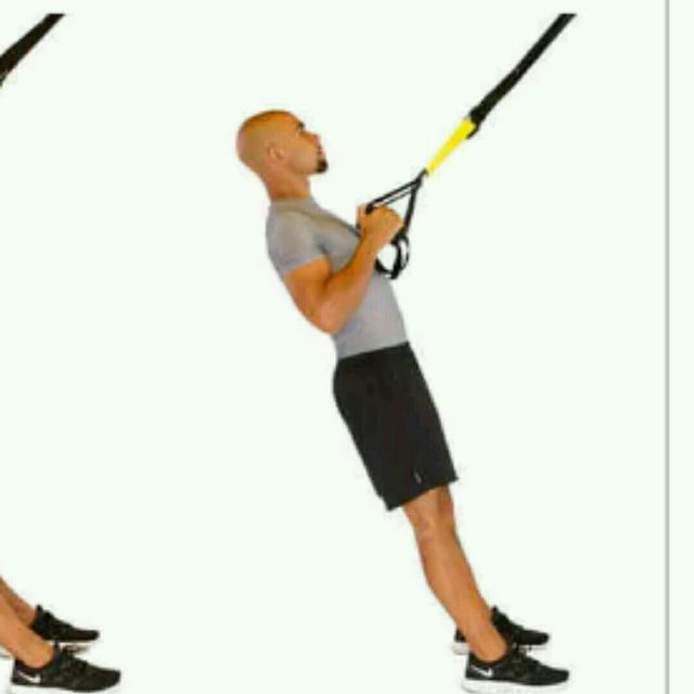 TRX LOW ROW - Exercise How-to - Workout Trainer by Skimble