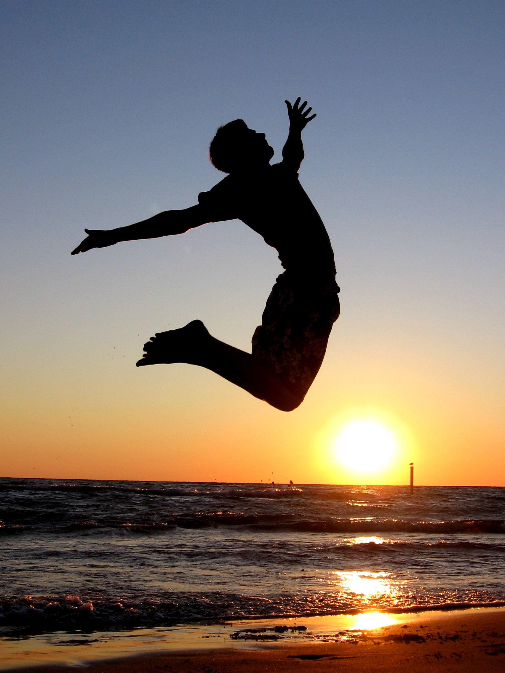 THE WAY THEY JUMP FROM Running Thru A Check Lyrics Meaning