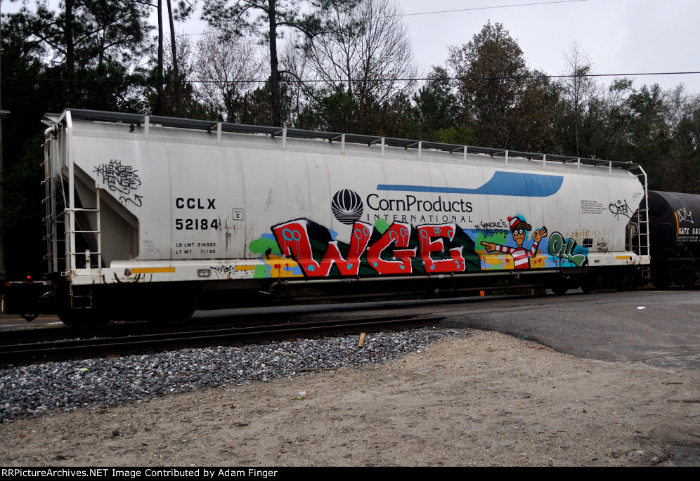 CCLX 52184 Where's Waldo?