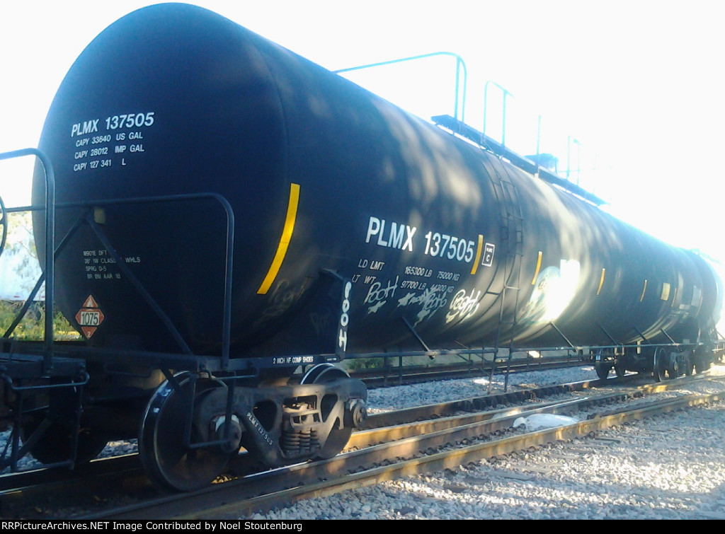 PLMX 137505