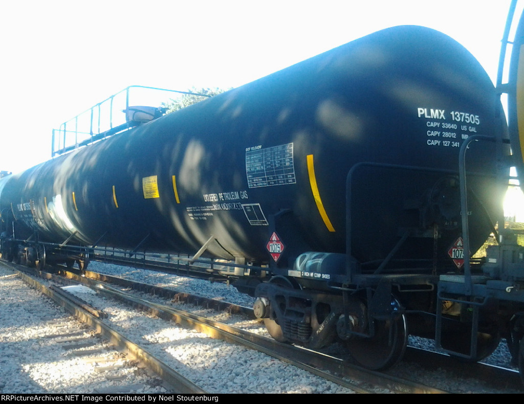 PLMX 137505