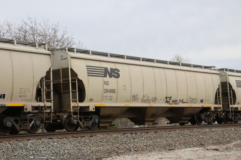 NS 294986