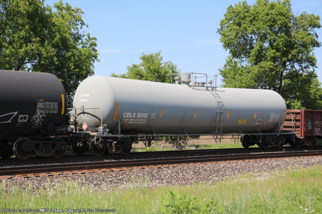 CELX 5013