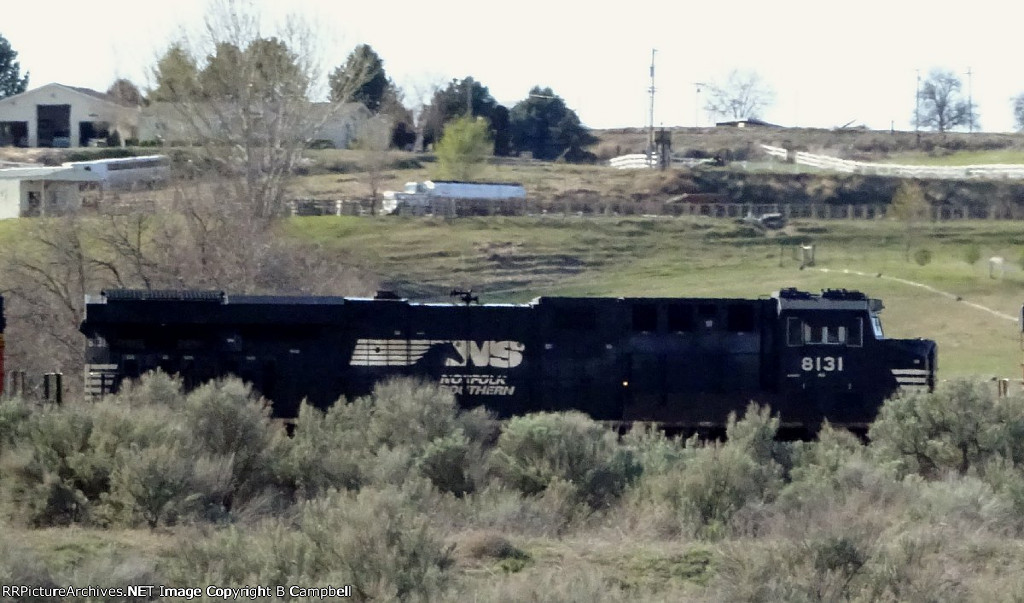 NS 8131