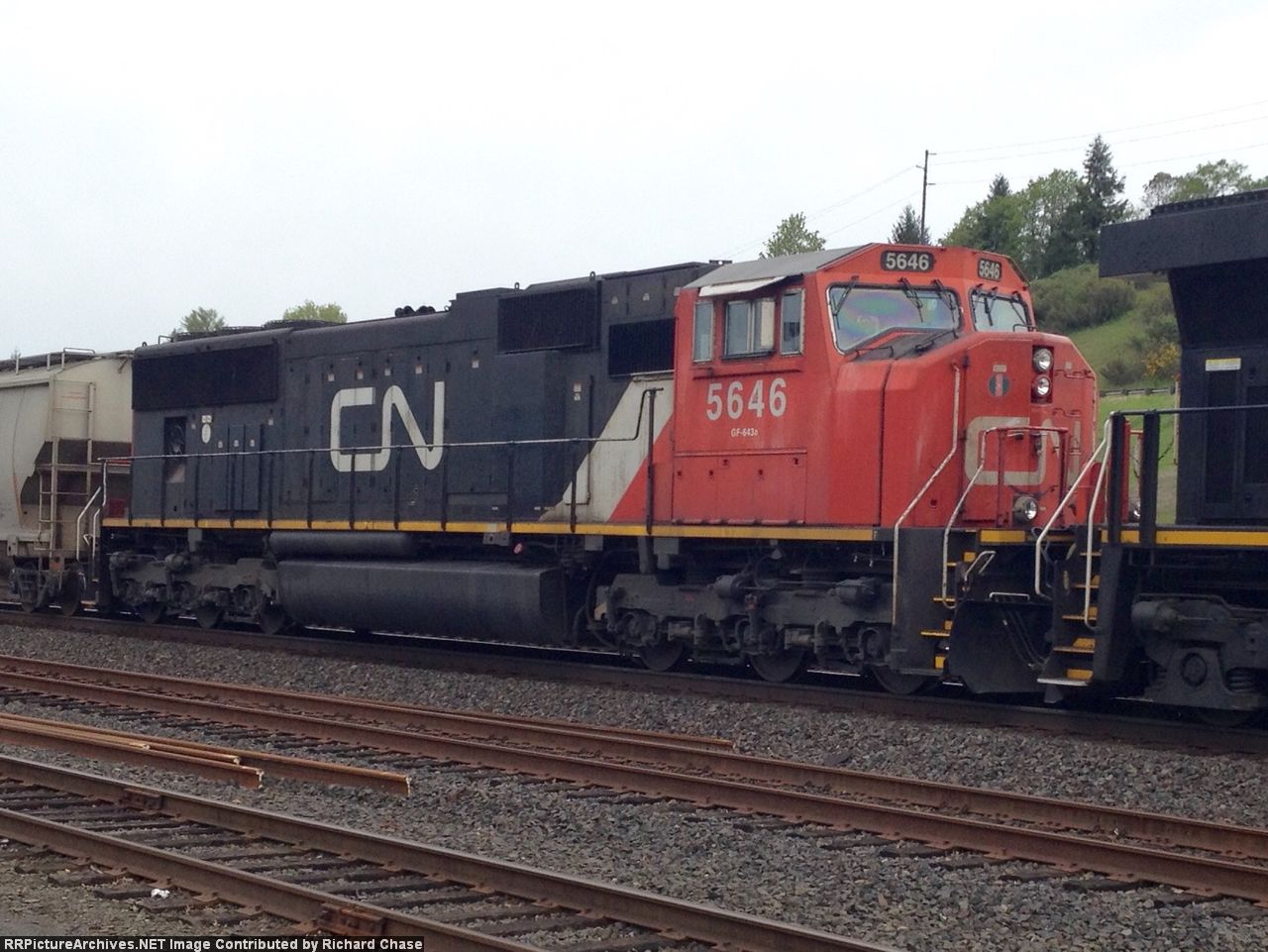 CN 5646