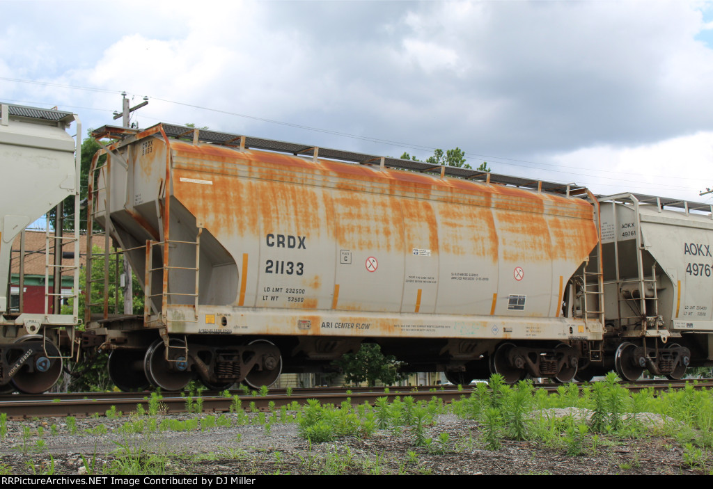 CRDX 21133