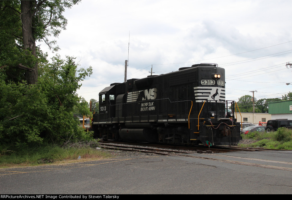 NS 5313