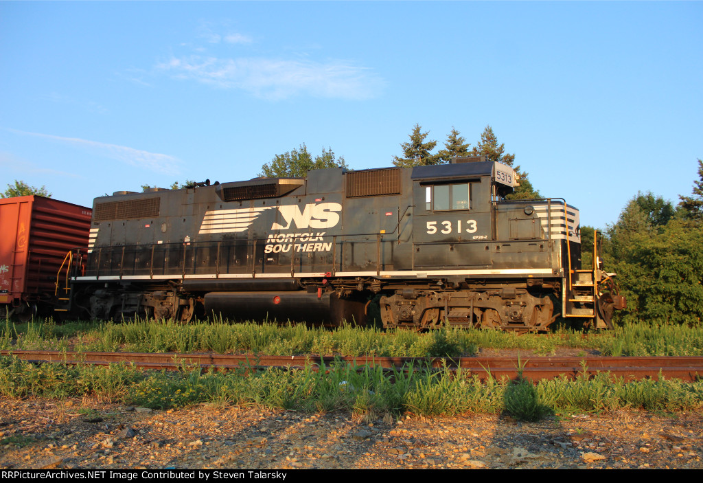 NS 5313