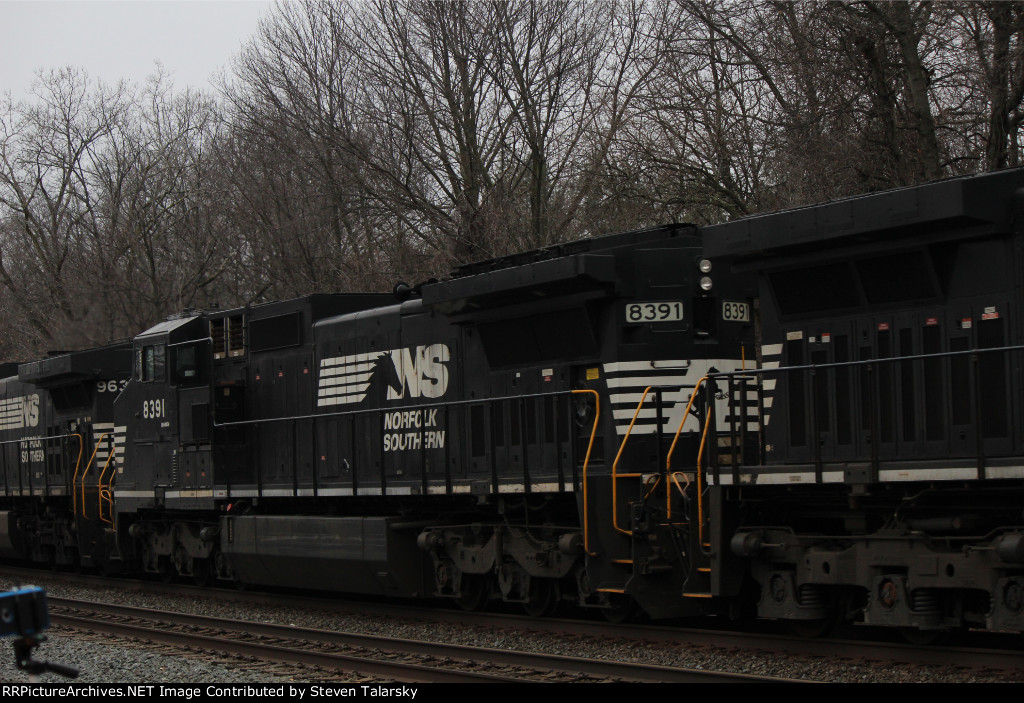 NS 8391