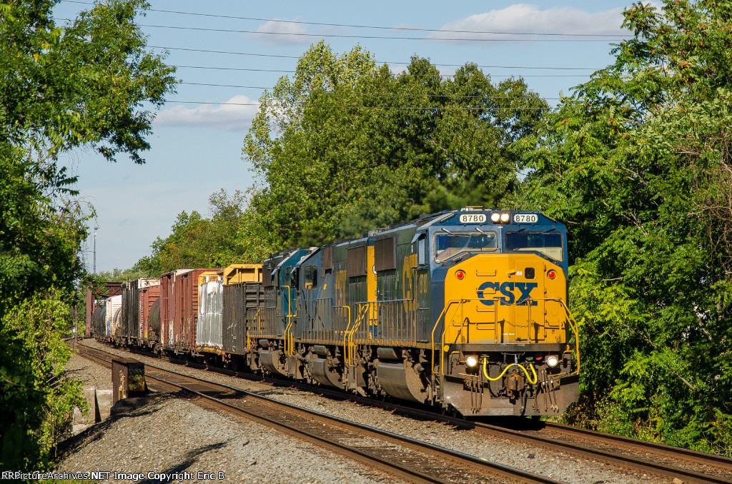 CSX 8780