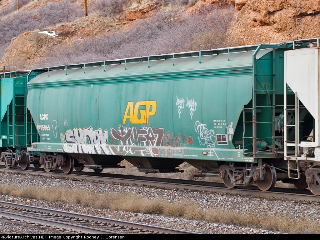 AGPX 95065