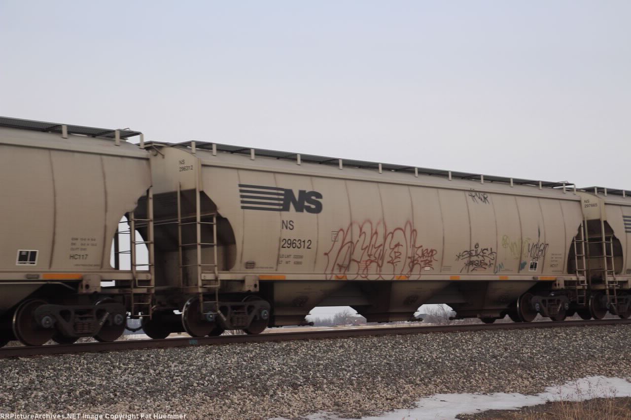 NS 296312