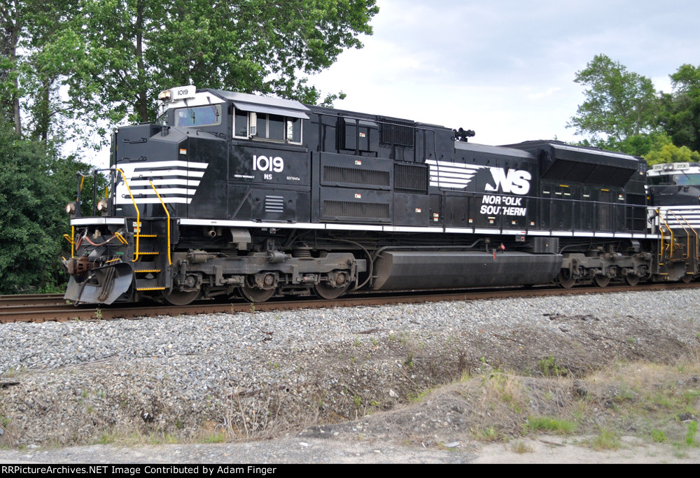 NS 1019