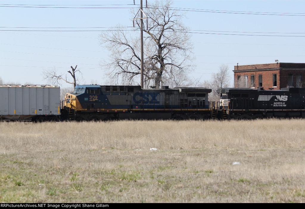 CSX 309