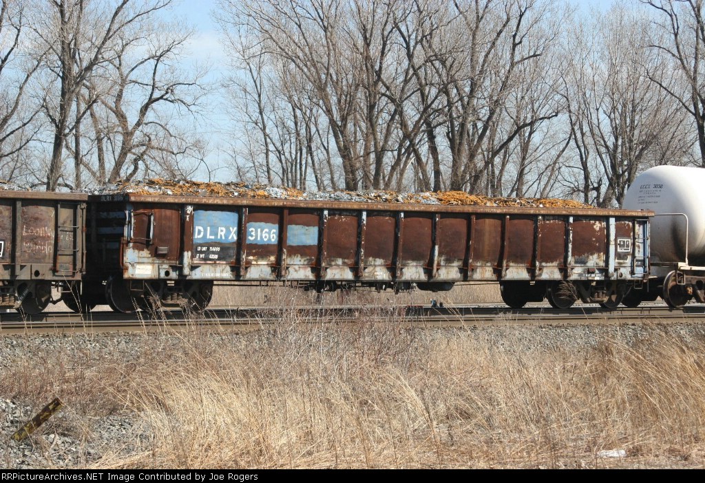 DLRX 3166