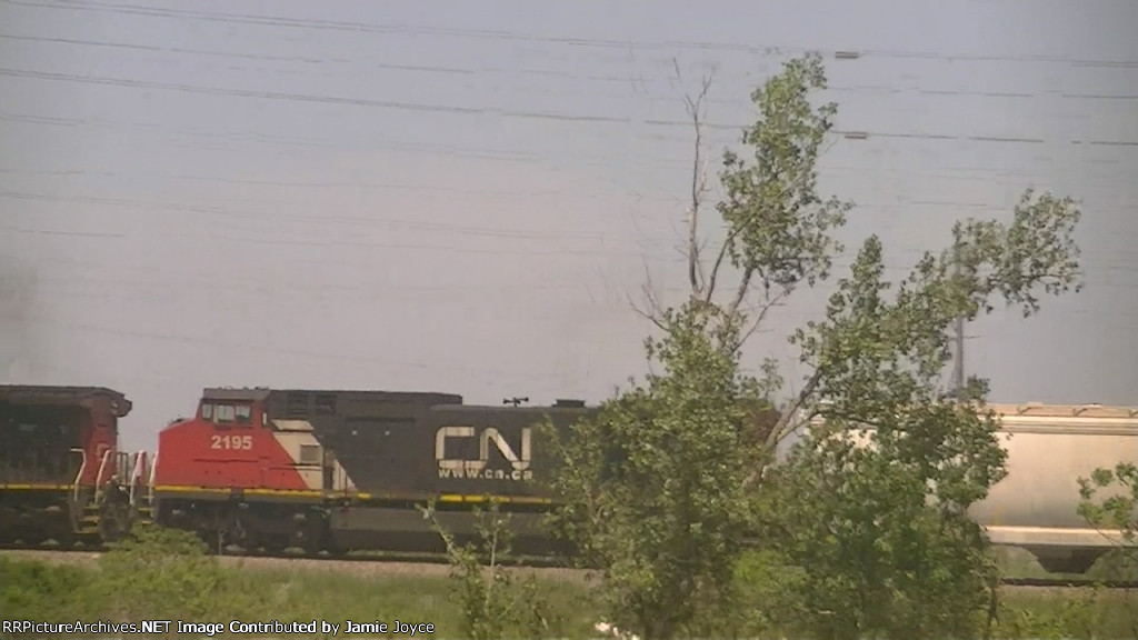 CN 2195