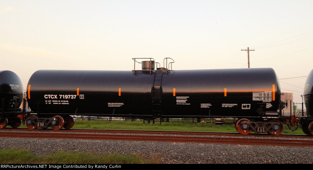 CTCX 719737