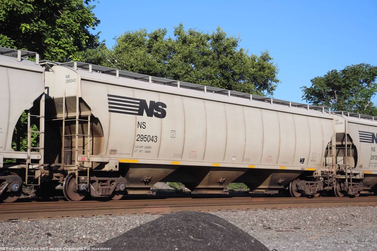 NS 295043